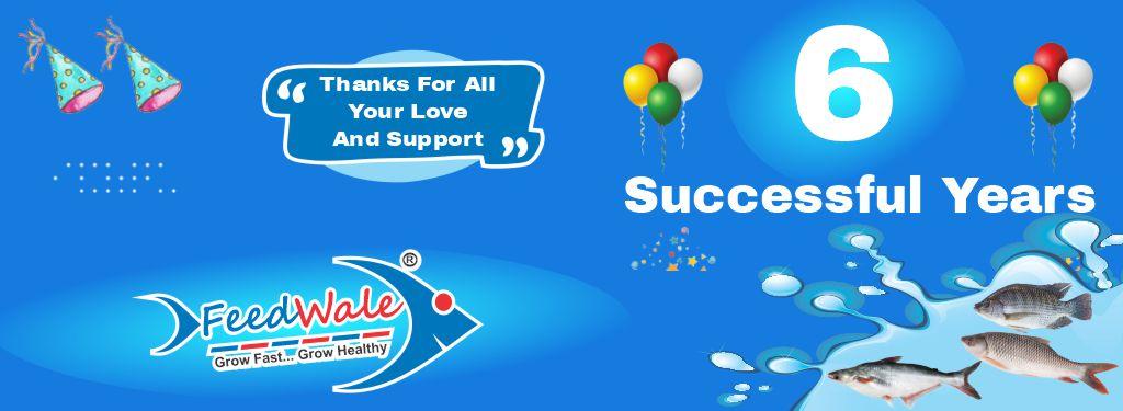 6 Successful Years Completed! - FeedWale